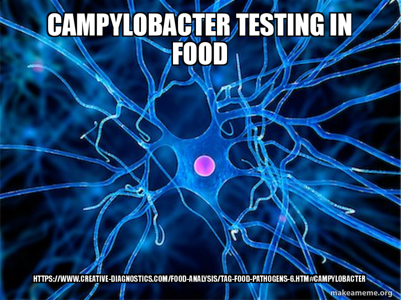 campylobacter testing in food https://www.creative-diagnostics.com/food ...