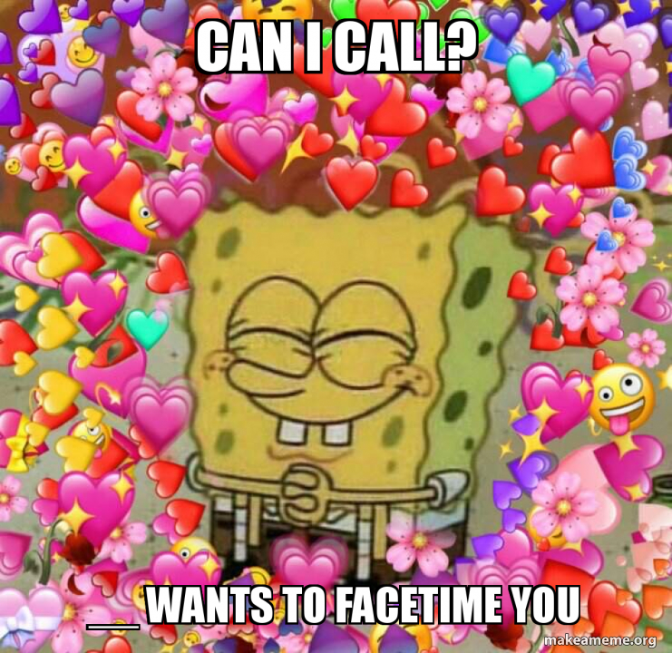 Can i call? __ WANTS TO FACETIME YOU Meme Generator