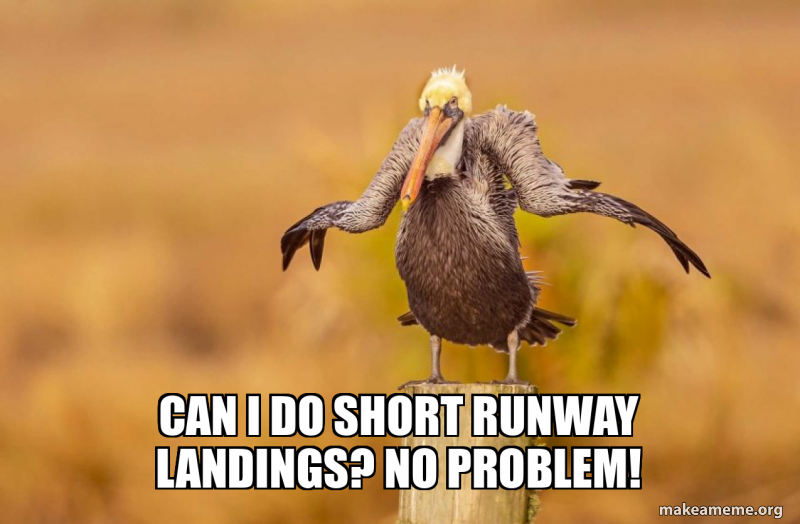 can i do short runway landings? no problem! Meme Generator