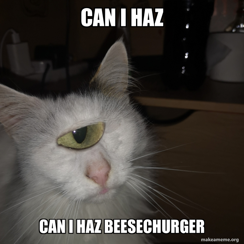 can I haz can I haz beesechurger Meme Generator