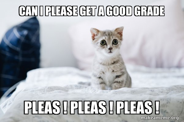 can I please get a good Grade Pleas ! Pleas ! Pleas ! - Cute Kitten ...