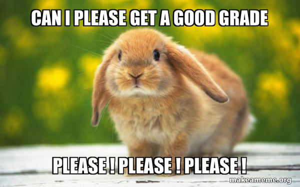 can I please get a good grade Please ! Please ! Please ! - Regretful ...