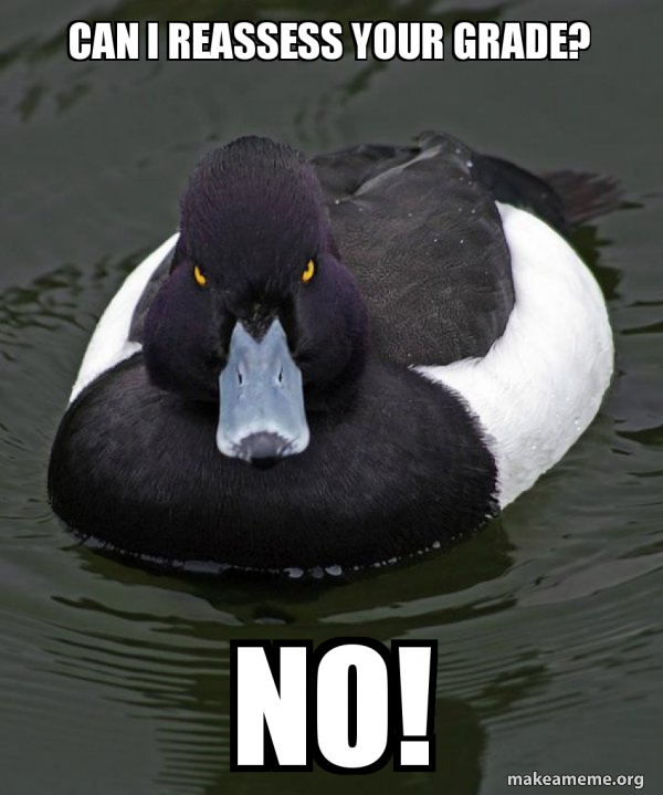 Can I reassess your grade? No! - Revenge Duck ( Angry Advice Duck ...