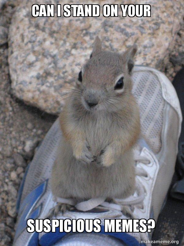 Suspicious Squirrel Memes