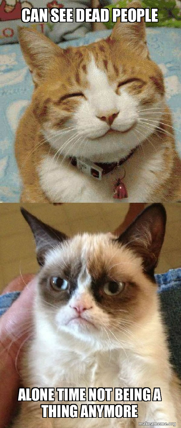 Can see dead people Alone time not being a thing anymore - Grumpy Cat ...