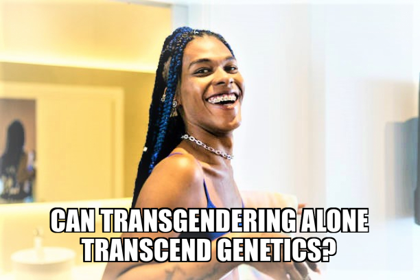 can Transgendering alone Transcend genetics? Meme Generator