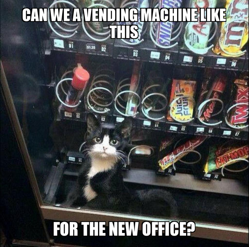 Can we a vending machine like this for the new office? Meme Generator