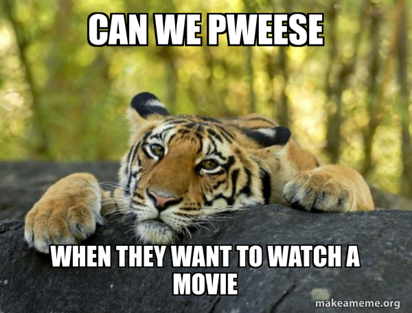 can we pweese When they want to watch a movie - Confession Tiger Meme ...