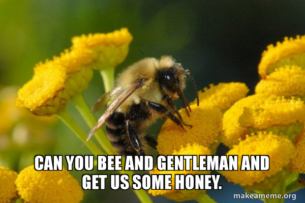 can you bee and gentleman and get us some honey. - Good Guy Bee Meme ...