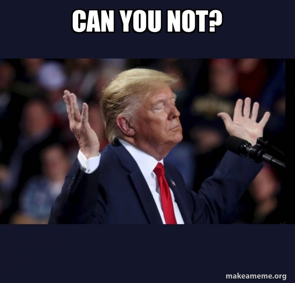 Can you not? - Trump Impeached Meme Generator