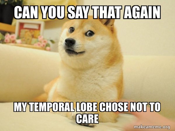 Can you say that again My temporal lobe chose not to care - Doge Meme ...