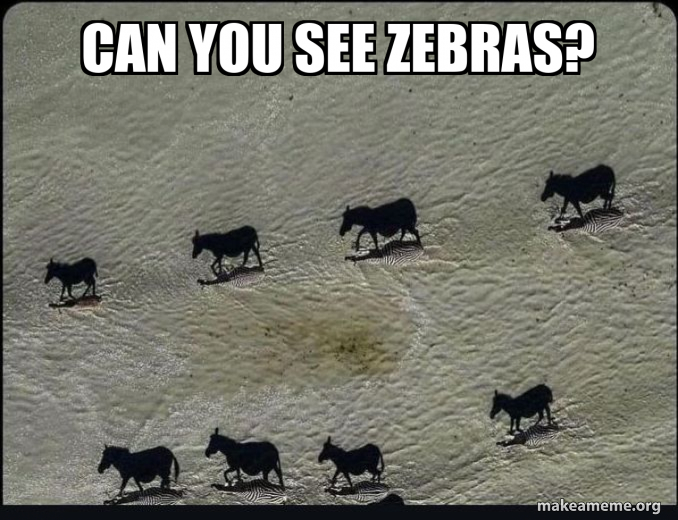 can you see zebras? Meme Generator