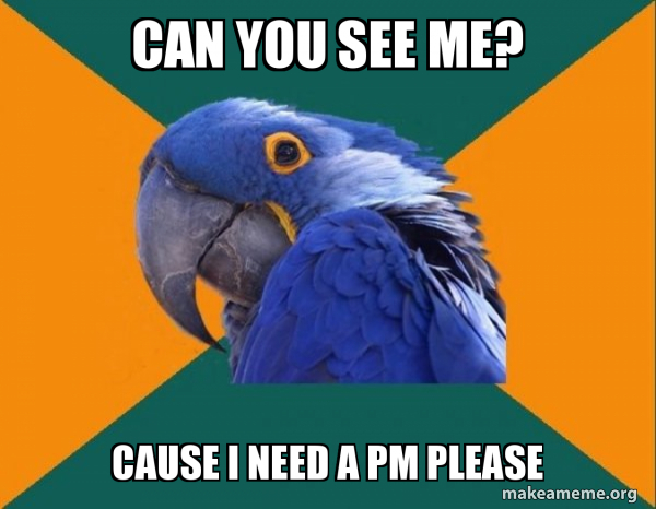 Can you see me? Cause I need a pm please - Paranoid Parrot Meme Generator