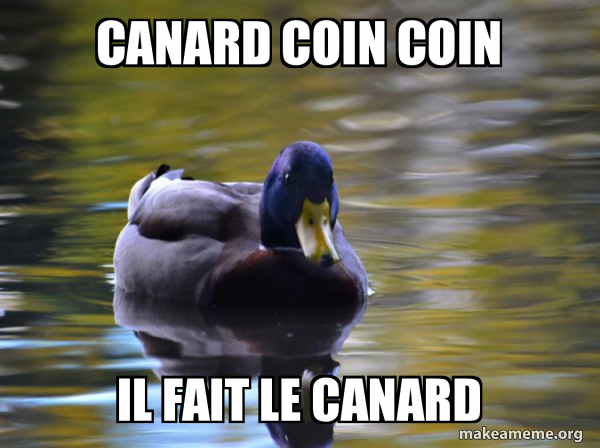 CANARD COIN COIN IL FAIT LE CANARD - Zen Advice Mallard Meme Generator