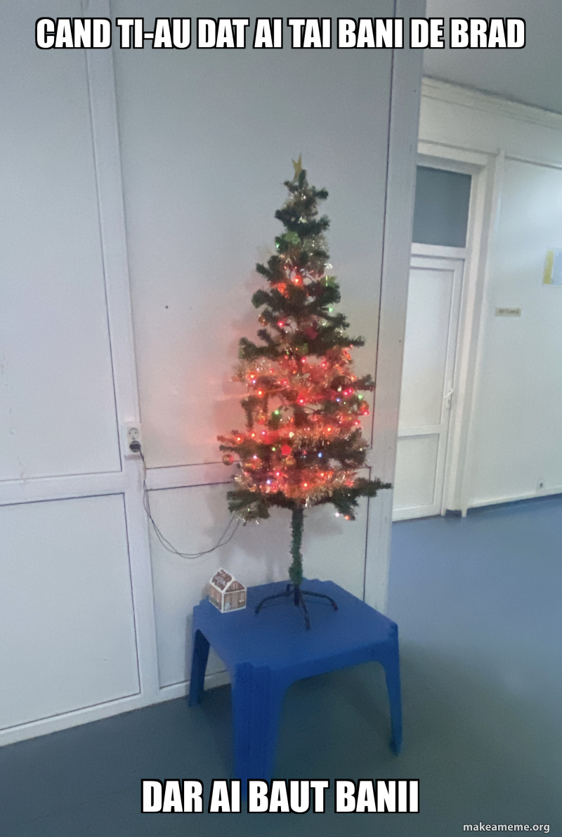Cand ti-au dat ai tai bani de brad Dar ai baut banii Meme Generator