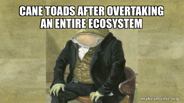 Cane Toads after overtaking an entire ecosystem - Colonel Toad Meme ...