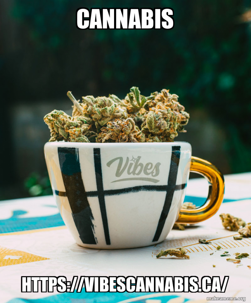 Cannabis https://vibescannabis.ca/ Meme Generator