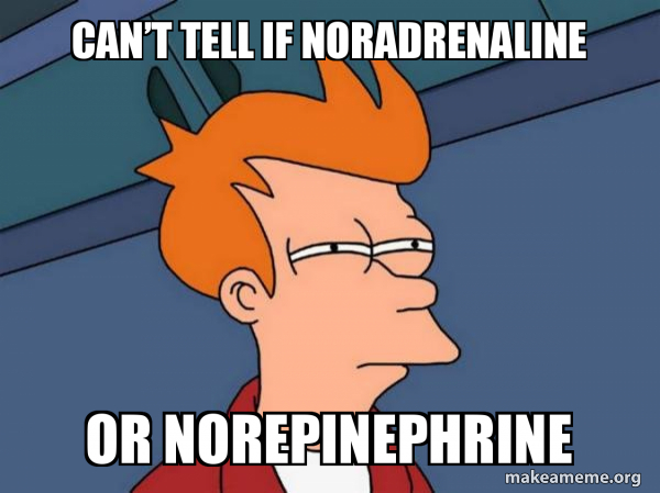 Canâ€™t tell if noradrenaline Or norepinephrine - Futurama Fry Meme ...