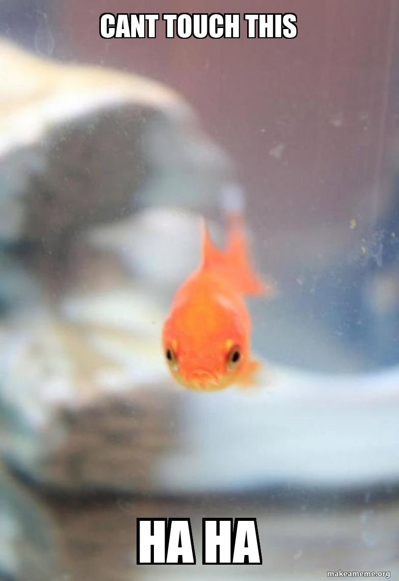 CANT TOUCH THIS HA HA - Grumpy Fish Meme Generator