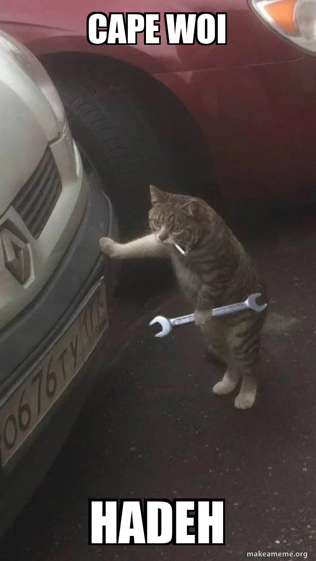 cape woi hadeh - Mechanic Cat Meme Generator