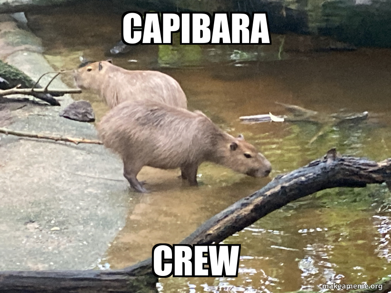Capibara Crew Meme Generator