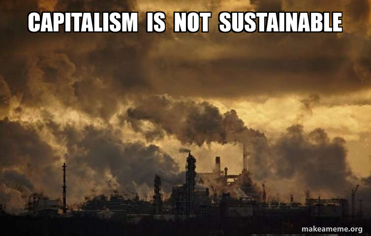 CAPITALISM IS NOT SUSTAINABLE Meme Generator