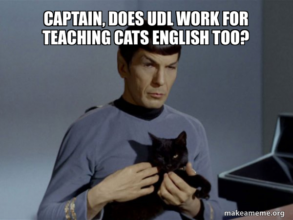 Captain, does UDL work for teaching cats English too? - Spock and Cat ...