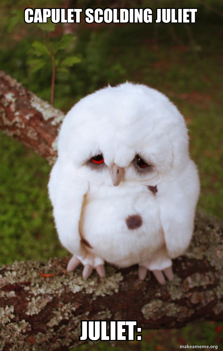 Capulet scolding Juliet Juliet: - Sad Owl Meme Generator
