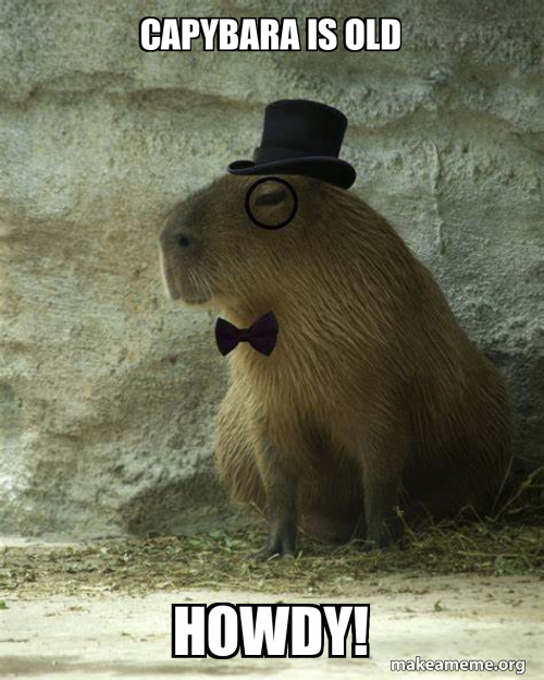 capybara is old howdy! - capybara old Meme Generator