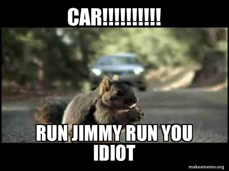 car!!!!!!!!!! run jimmy run you idiot Meme Generator