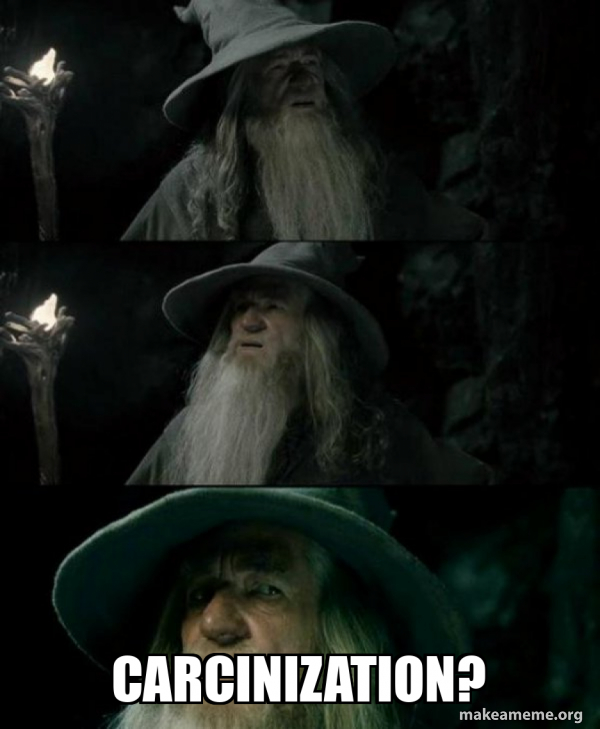 Carcinization? - Confused Gandalf Meme Generator
