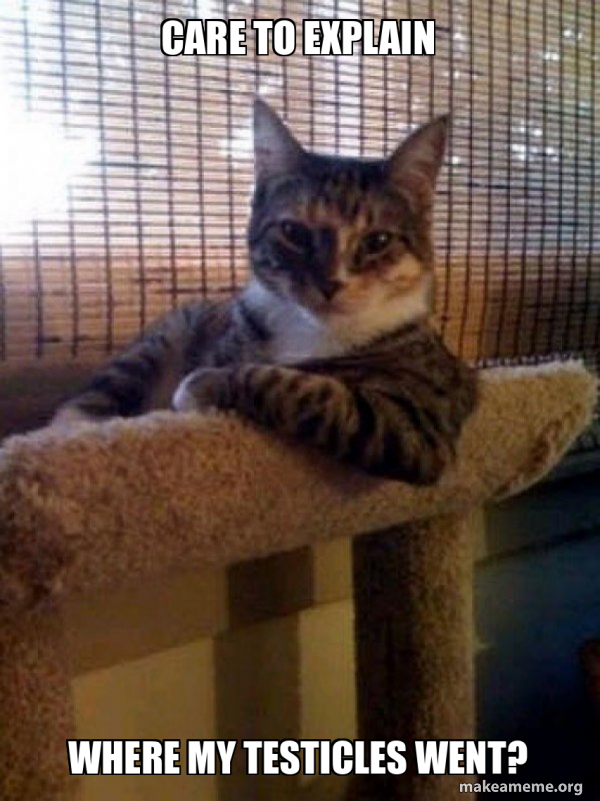Care to explain where my testicles went? - The Most Interesting Cat in ...