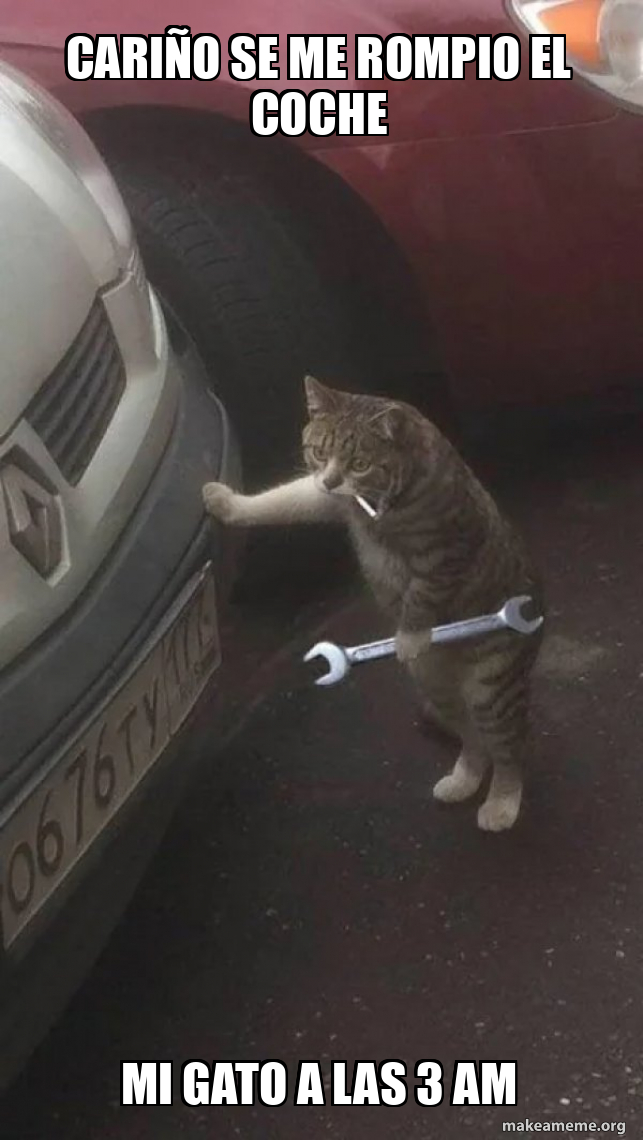cariño se me rompio el coche mi gato a las 3 AM - Mechanic Cat Meme ...