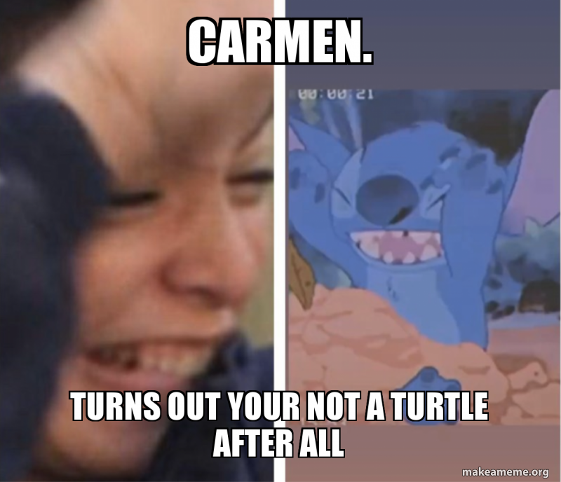 Carmen. TURNS OUT YOUR NOT A TURTLE AFTER ALL Meme Generator