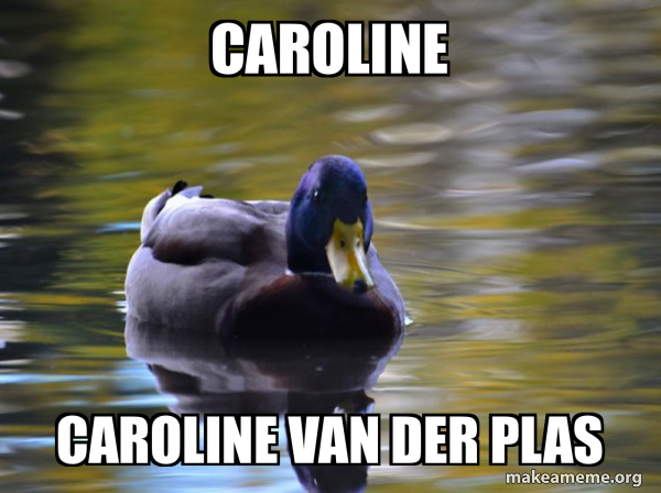 caroline caroline van der plas - Zen Advice Mallard Meme Generator