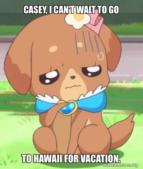 CASEY, I CAN't WAIT TO GO TO HAWAII FOR VACATION. - MY 94TH TBBT MEME ...