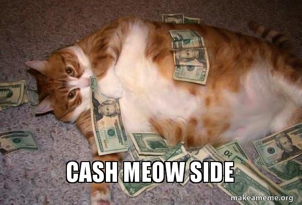 Cash Meow Side Meme Generator