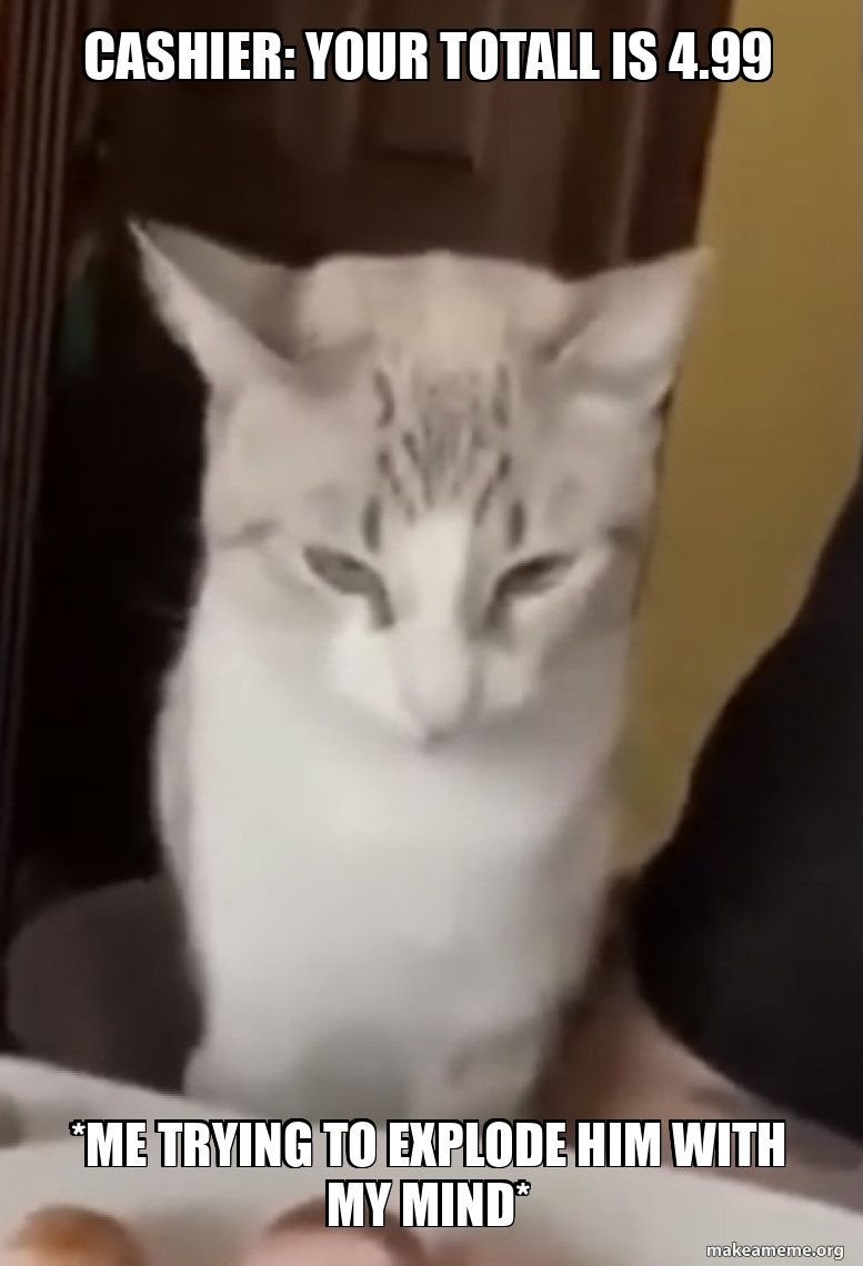 CAshIer: your toTall is 4.99 *me trying to exPlode him with my mind ...