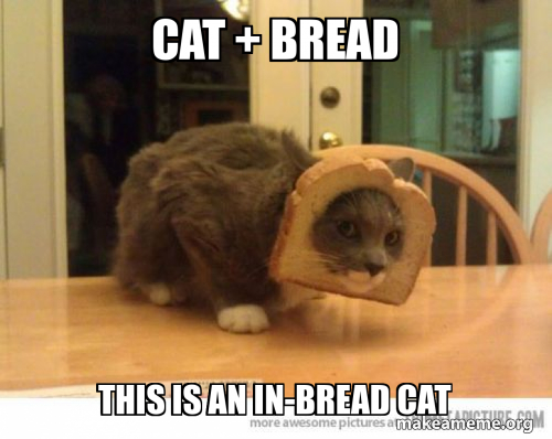 cat + bread This is an in-Bread cat Meme Generator