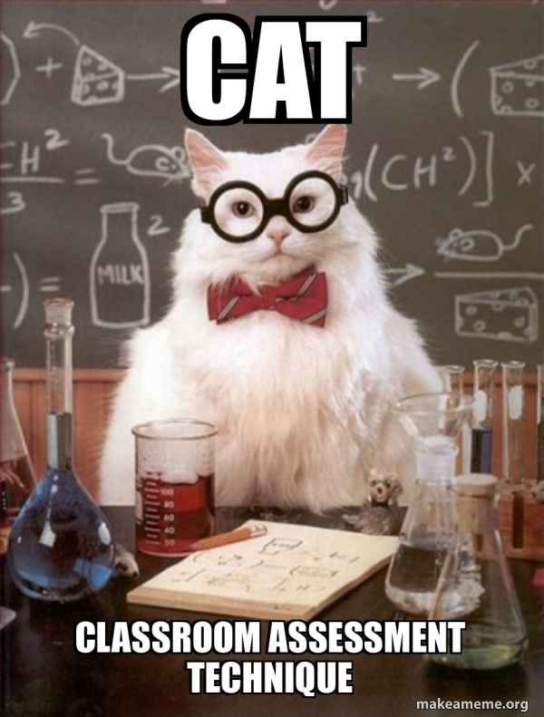 CAT Classroom Assessment Technique - Chemistry Cat Meme Generator