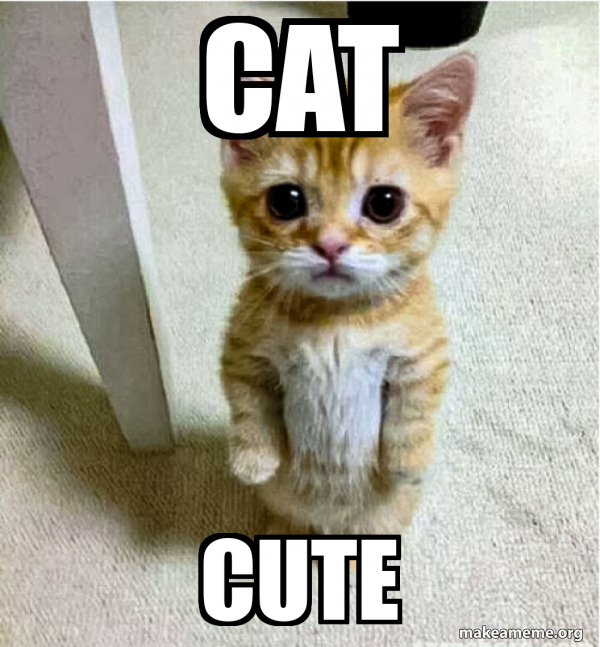 Cat Cute - Cute Cat Standing Meme Generator
