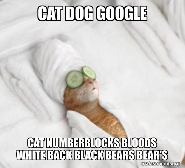 cat dog Google cat numberblocks bloods white back black bears bear's ...