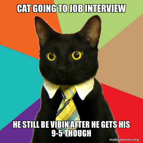 CAT GOING TO JOB INTERVIEW HE STILL BE VIBIN AFTER HE GETS HIS 9-5 ...