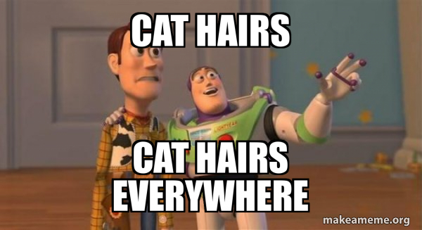 Cat hairs Cat hairs everywhere - Buzz and Woody (Toy Story) Meme Meme ...