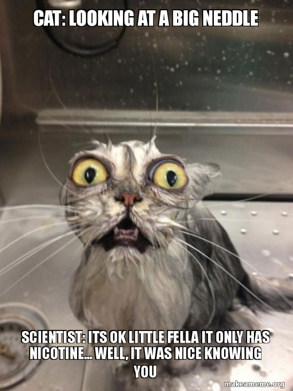 Cat: Looking at a BIG NEDDLE Scientist: Its ok little fella it only has ...