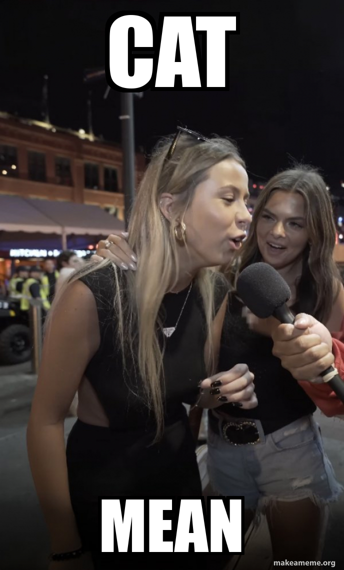 Cat Mean - Hawk Tuah Meme Generator