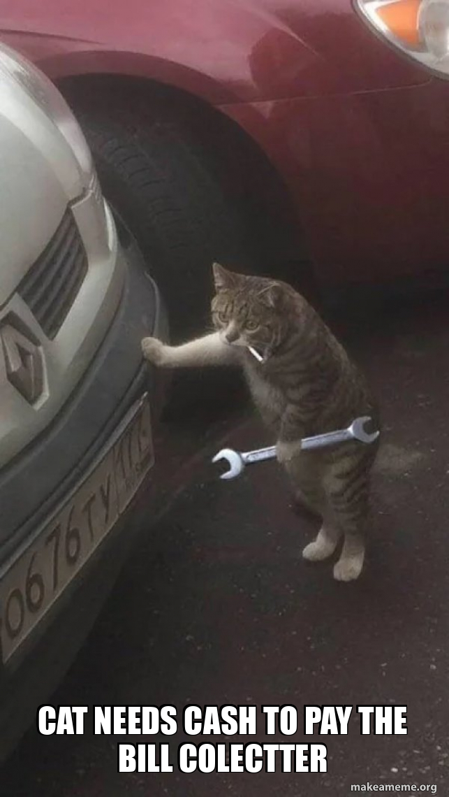 cat needs cash to pay the bill colectter - Mechanic Cat Meme Generator
