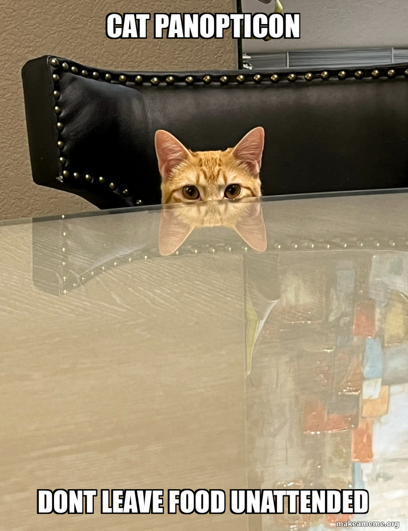 Cat panopticon dont leave food unattended Meme Generator