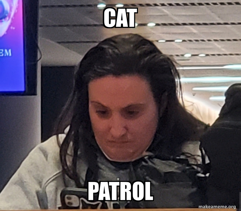 Cat Patrol Meme Generator