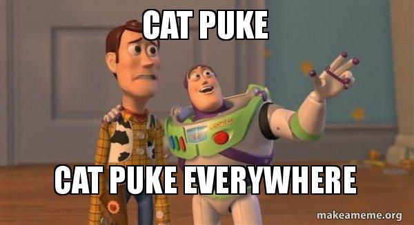 Cat puke Cat puke everywhere - Buzz and Woody (Toy Story) Meme Meme ...